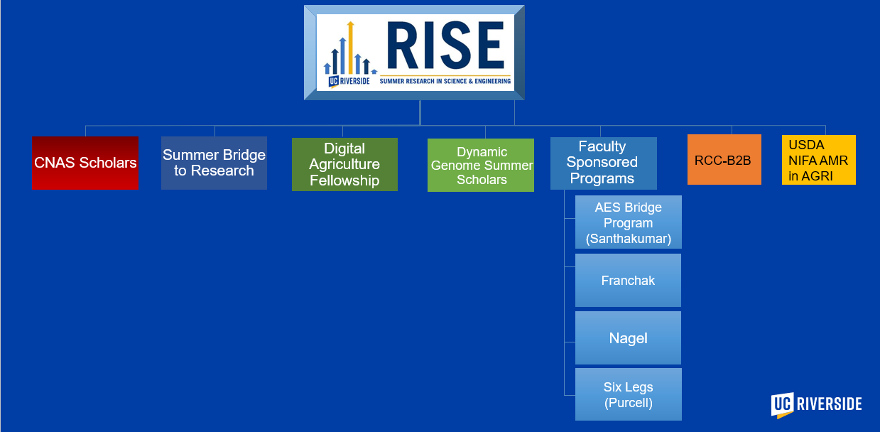 Programs Research In Science Engineering Rise